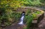 Things to Do in Yeovil, England, UK | Discover the Best Things!