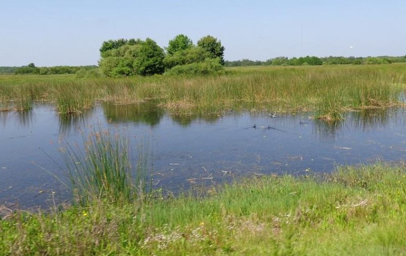 10 Things to do in Barton-upon-Humber, England, UK - Best Things To Do ...